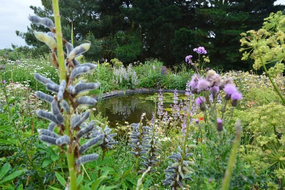 Bulwell Forest Garden