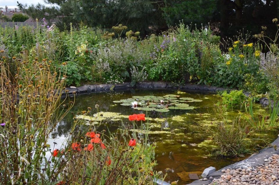 Bulwell Forest Garden