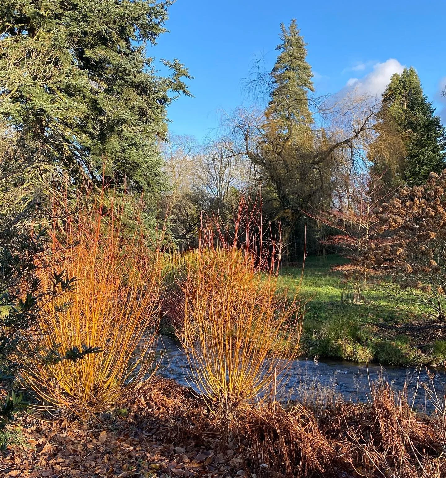 Visit Us — Llanover Garden