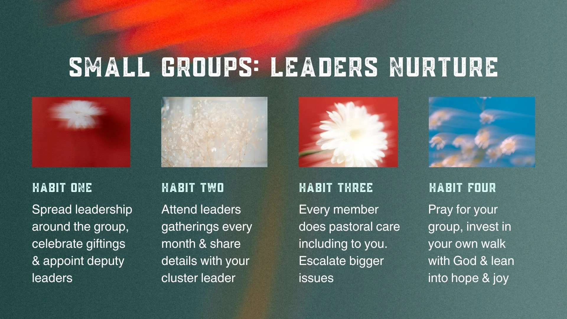 Nurturing Through Small Groups — Croydon Vineyard