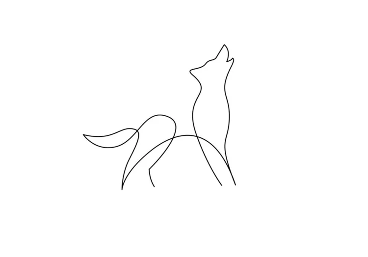 Line art animation examples (logos, icons, drawings...) — Loooop Studio