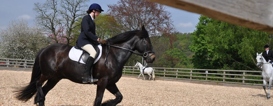 Riding Lessons for beginners & experienced riders — SJ Equestrian ...