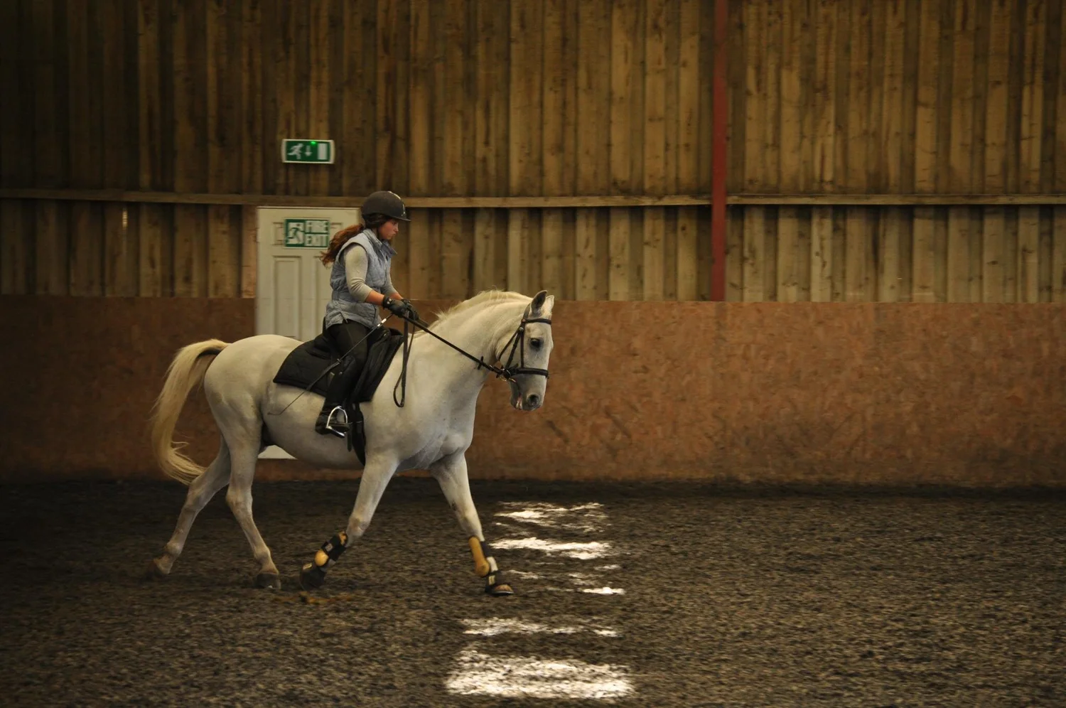 Riding Lessons for beginners & experienced riders — SJ Equestrian ...