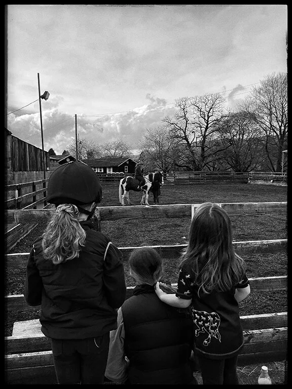 Pony Club — SJ Equestrian Riding Centre