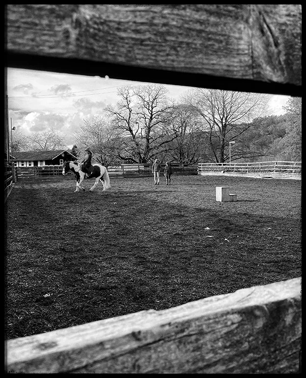 Pony Club — SJ Equestrian Riding Centre