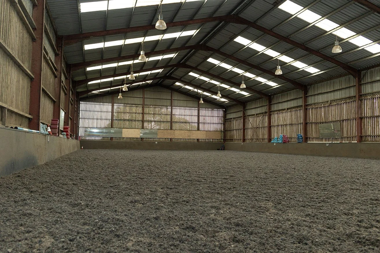Riding Lessons for beginners & experienced riders — SJ Equestrian ...