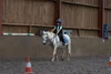 Home — SJ Equestrian Riding Centre