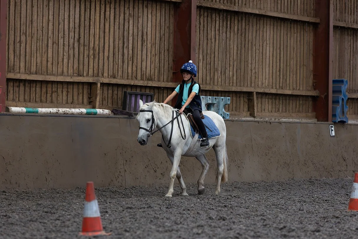 Home — SJ Equestrian Riding Centre
