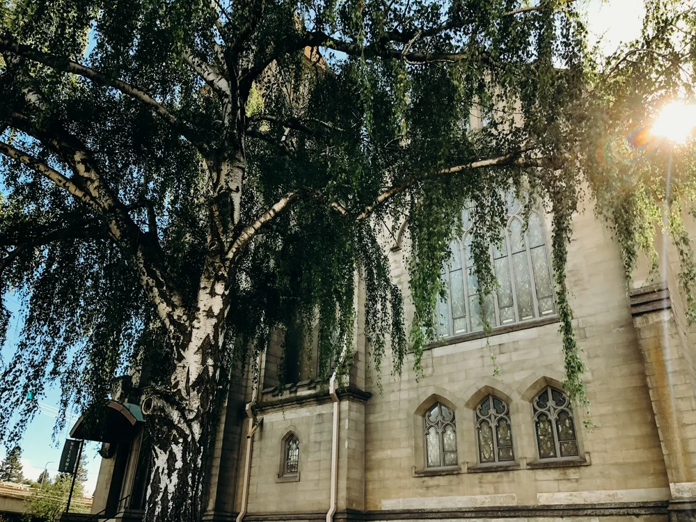 Employment — First Presbyterian Church of Spokane