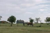 Selah - Oklahoma's Premier New Urbanism Community