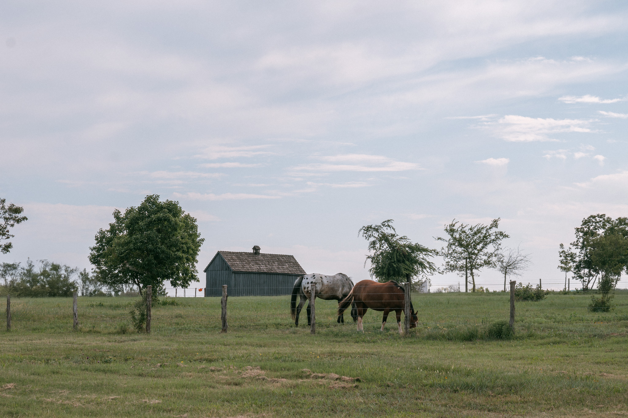 Selah - Oklahoma's Premier New Urbanism Community