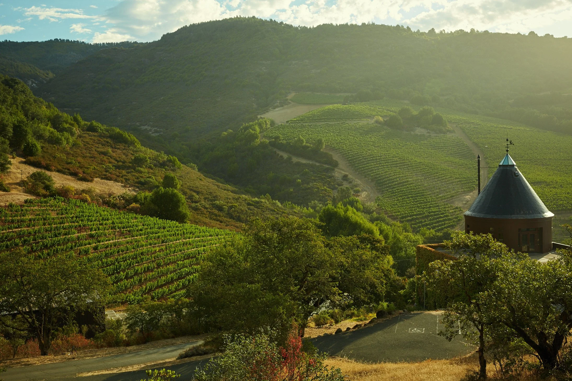 Members — Moon Mountain District Winegrowers Association