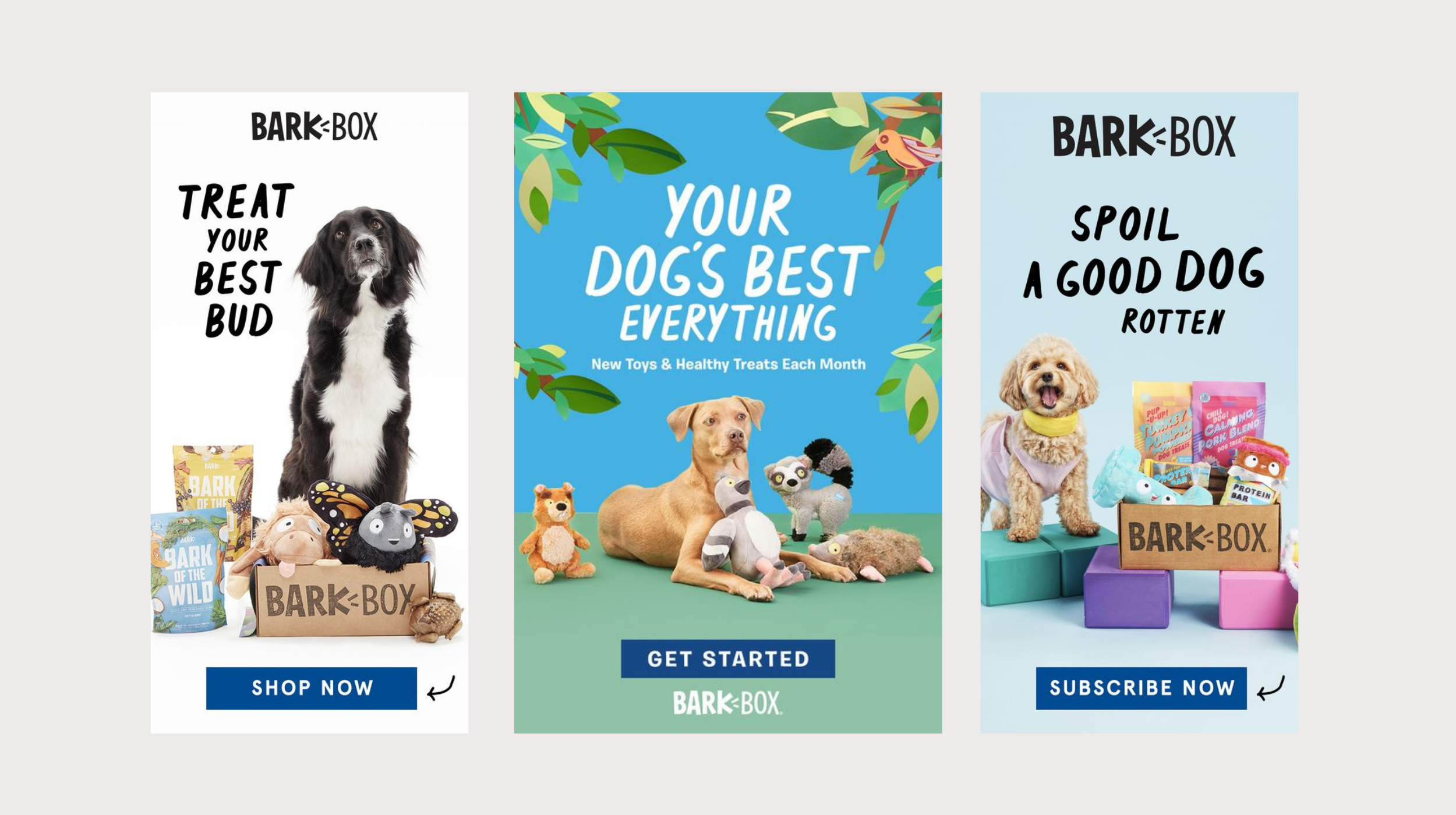 Are Barkbox Dog Treats Healthy