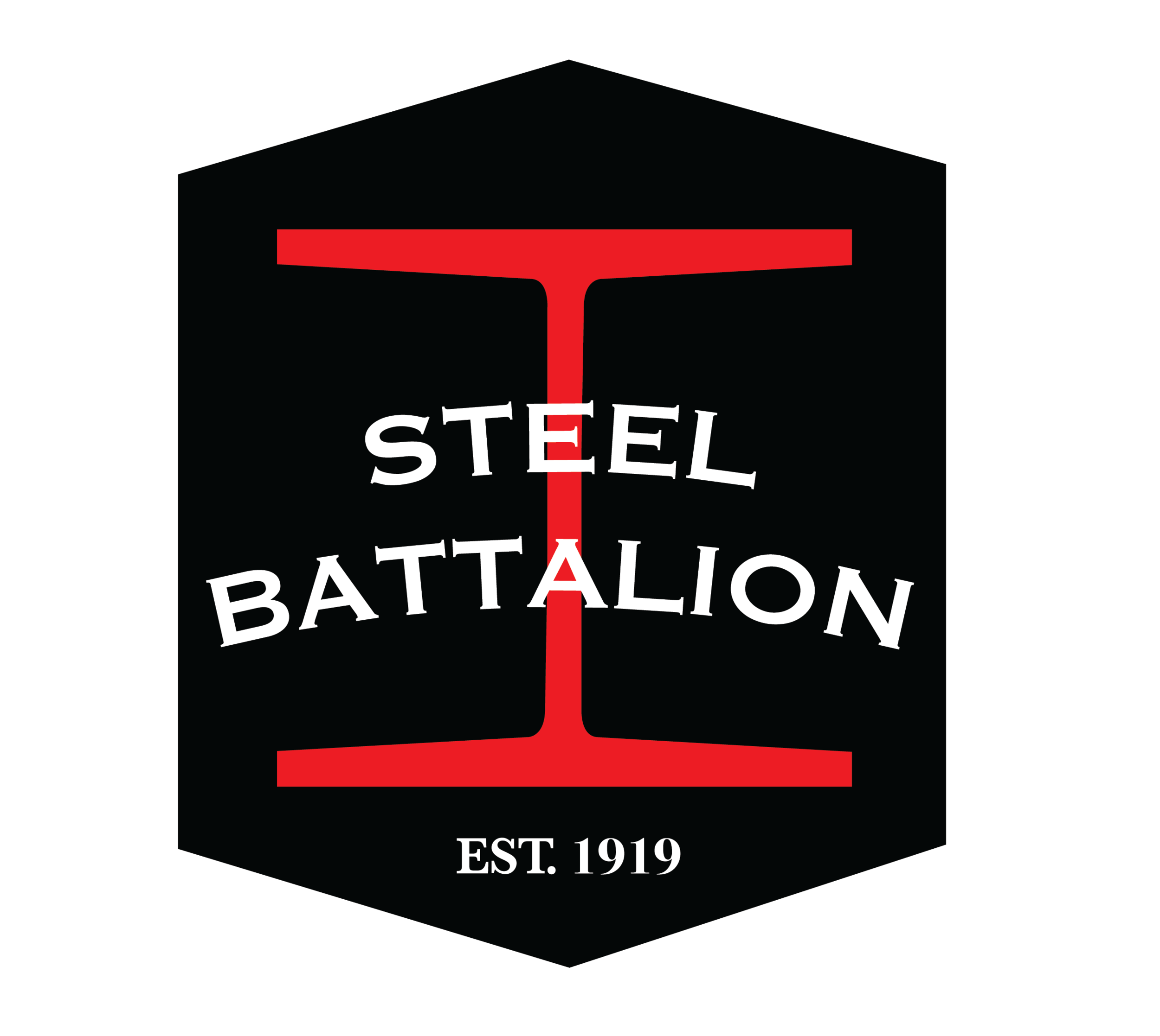 THE STEEL BATTALION CADRE TEAM — STEEL BATTALION