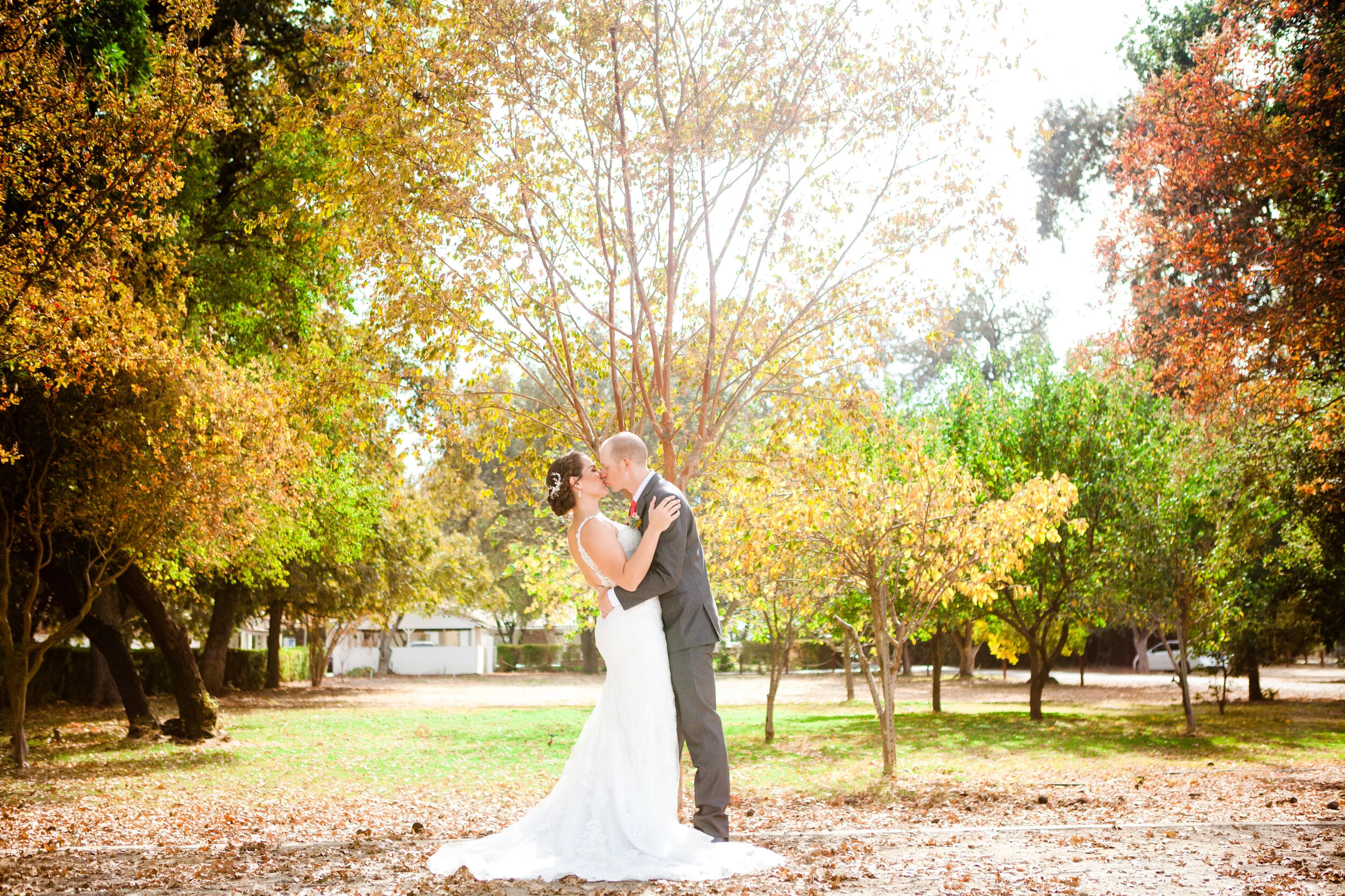 Gallery — The Maples