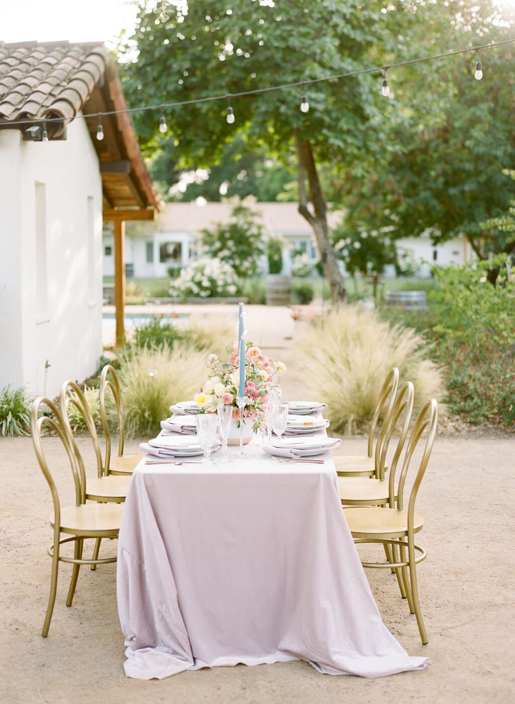 Gallery — The Maples