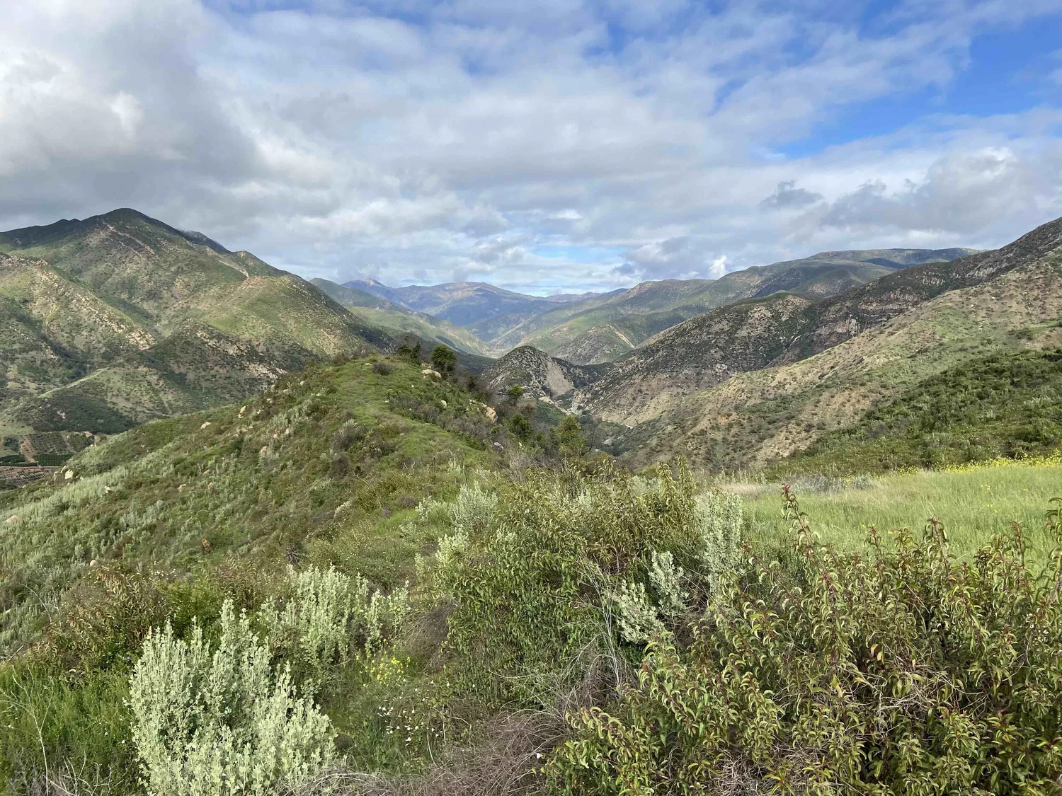 Green Valley Project