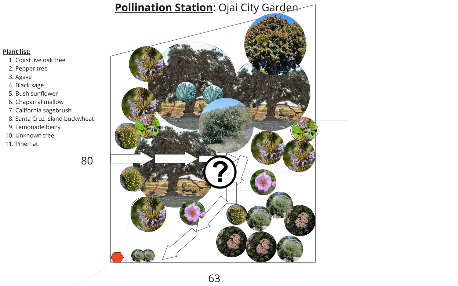 Pollination Station: A Youth Designed Garden — Green Valley Project