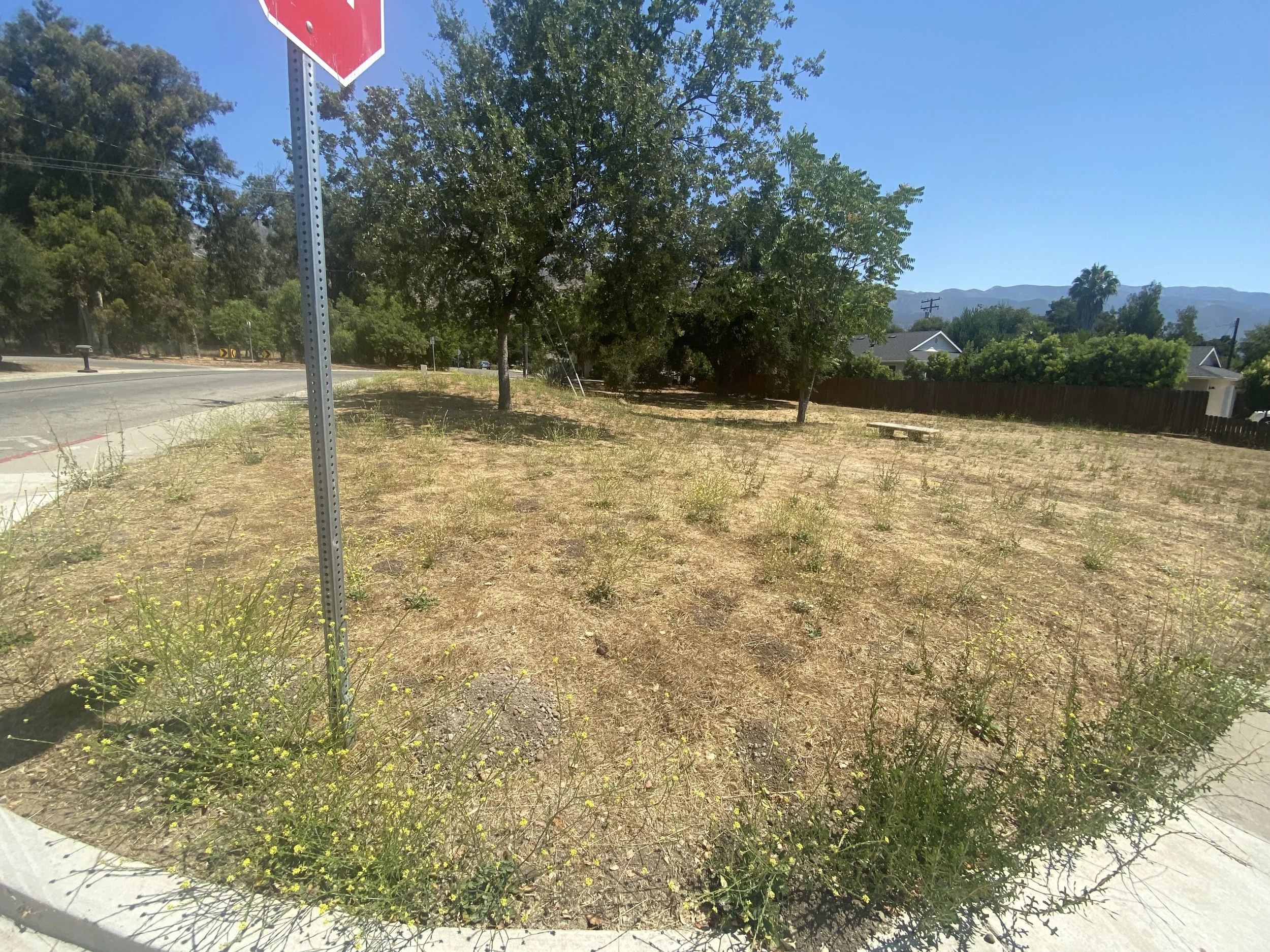 Pollination Station: A Youth Designed Garden — Green Valley Project