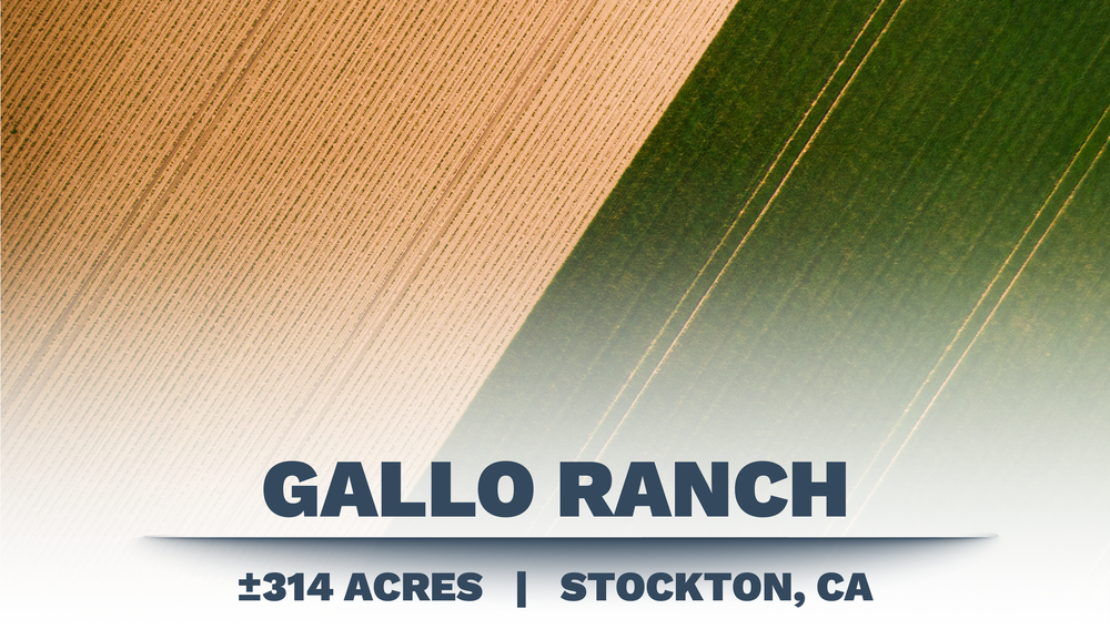 Real Estate Projects — Terra West Group