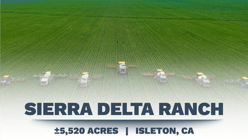 Real Estate Projects — Terra West Group