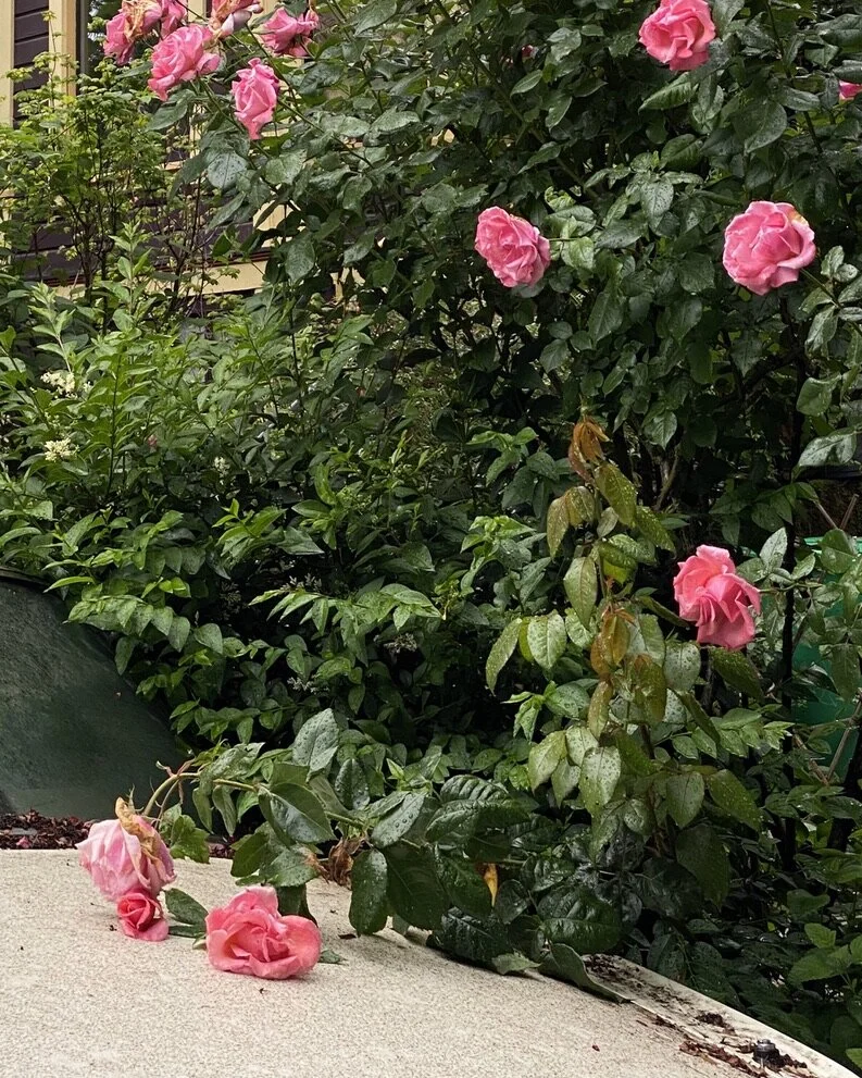 Everything I Love in Oregon — For Living