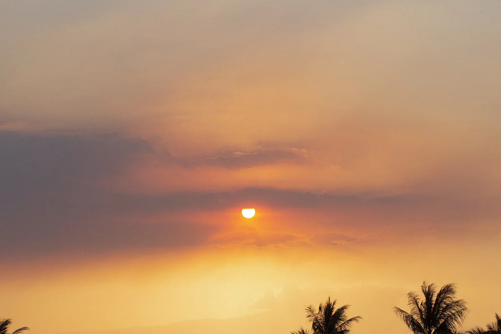 Maui Relief Funds — For Living