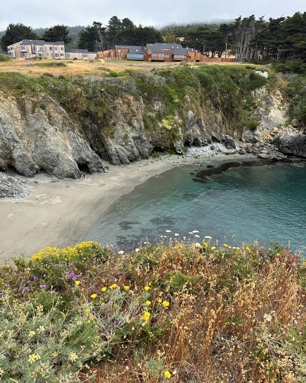Sea Ranch Must Be the Place — For Living