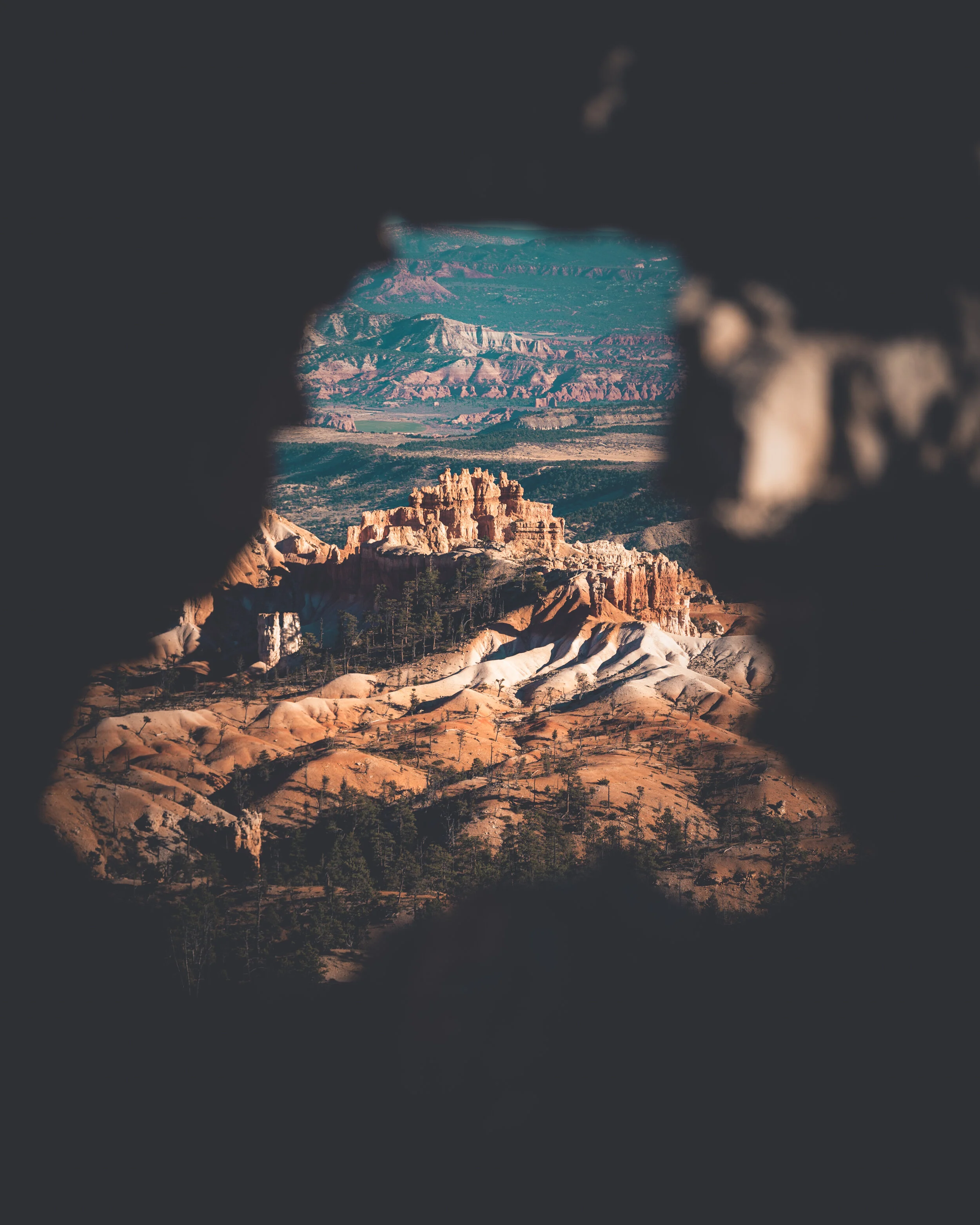 Gallery — Cade Nicholson Photography