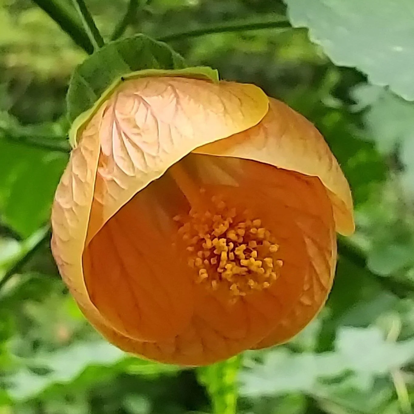 GALLERY — TASTE OF CANDY