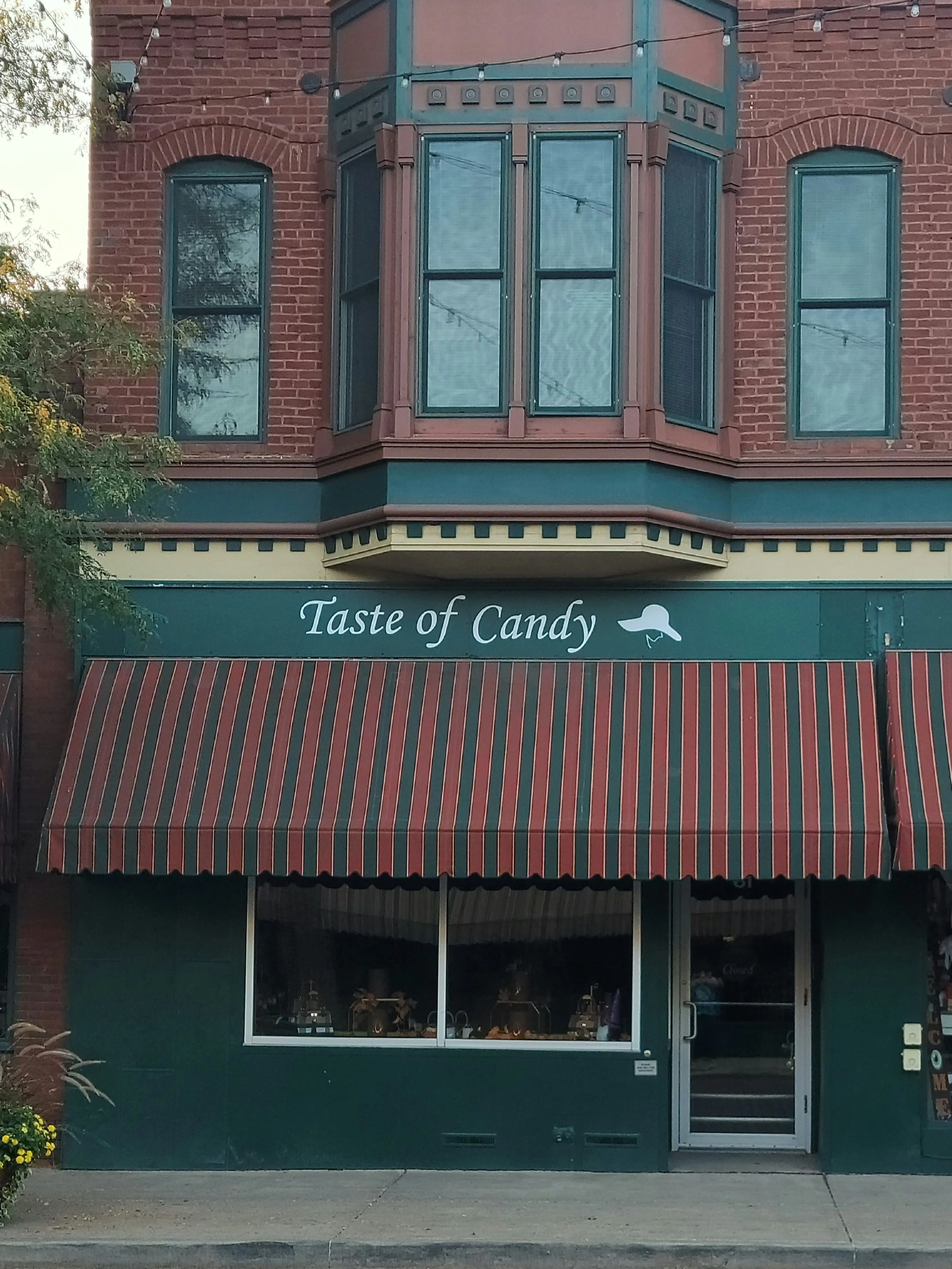 TASTE OF CANDY