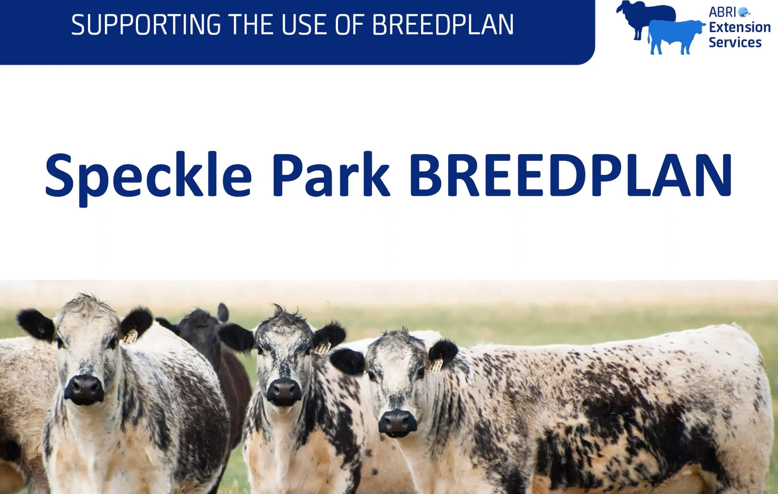 SPI BREEDPLAN Webinar — Speckle Park International