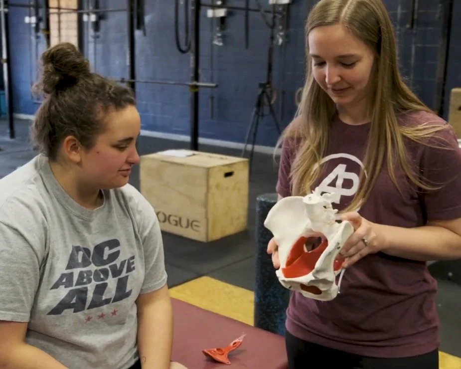 Laurel, MD | Physical Therapy - Alpha Project Phyzio