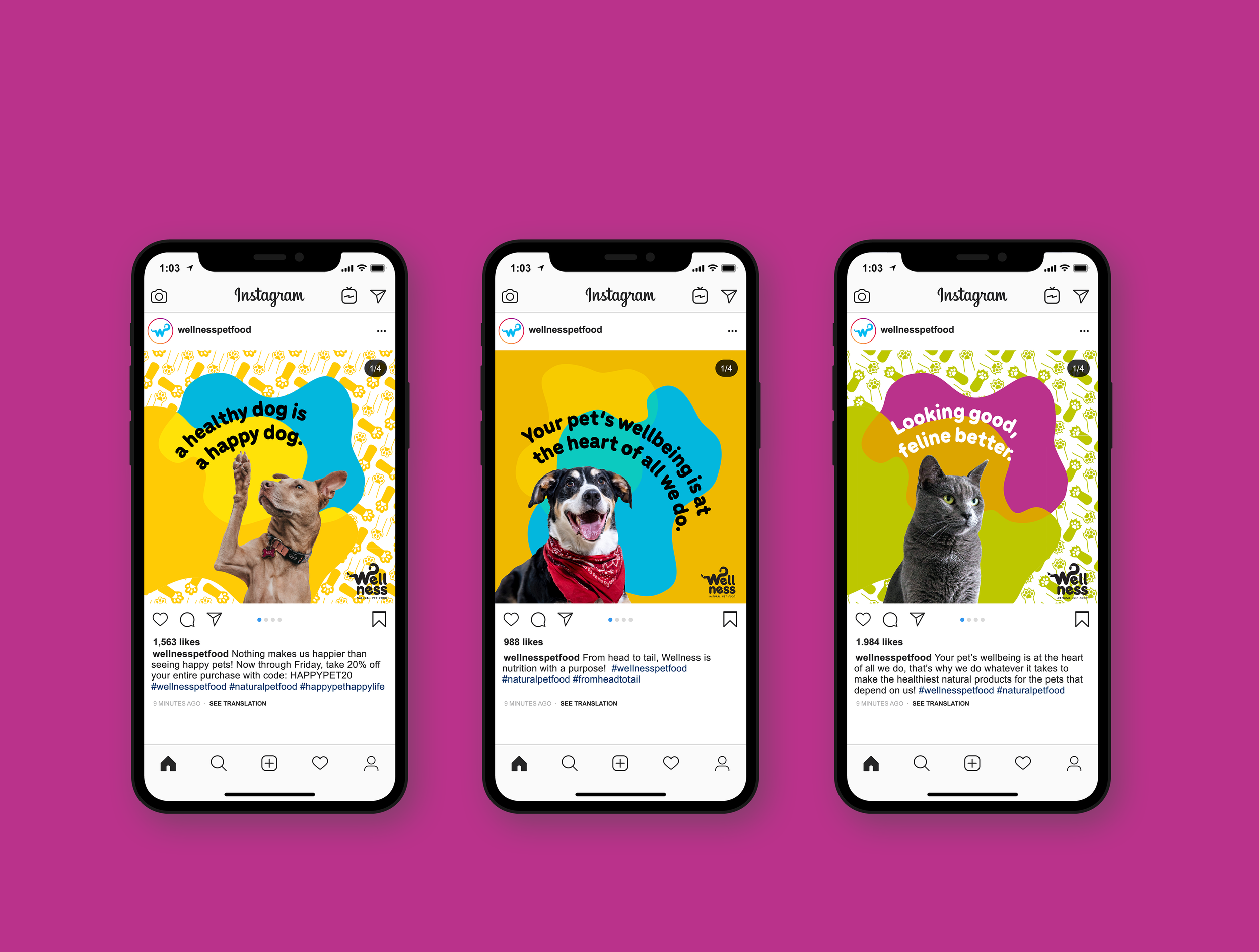 Wellness Pet Food Logo