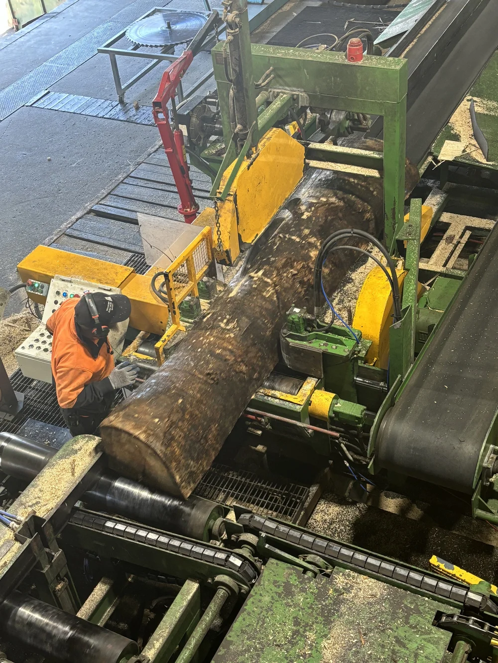 Sawmilling and Processing — Arbre Forest Industries | Training ...
