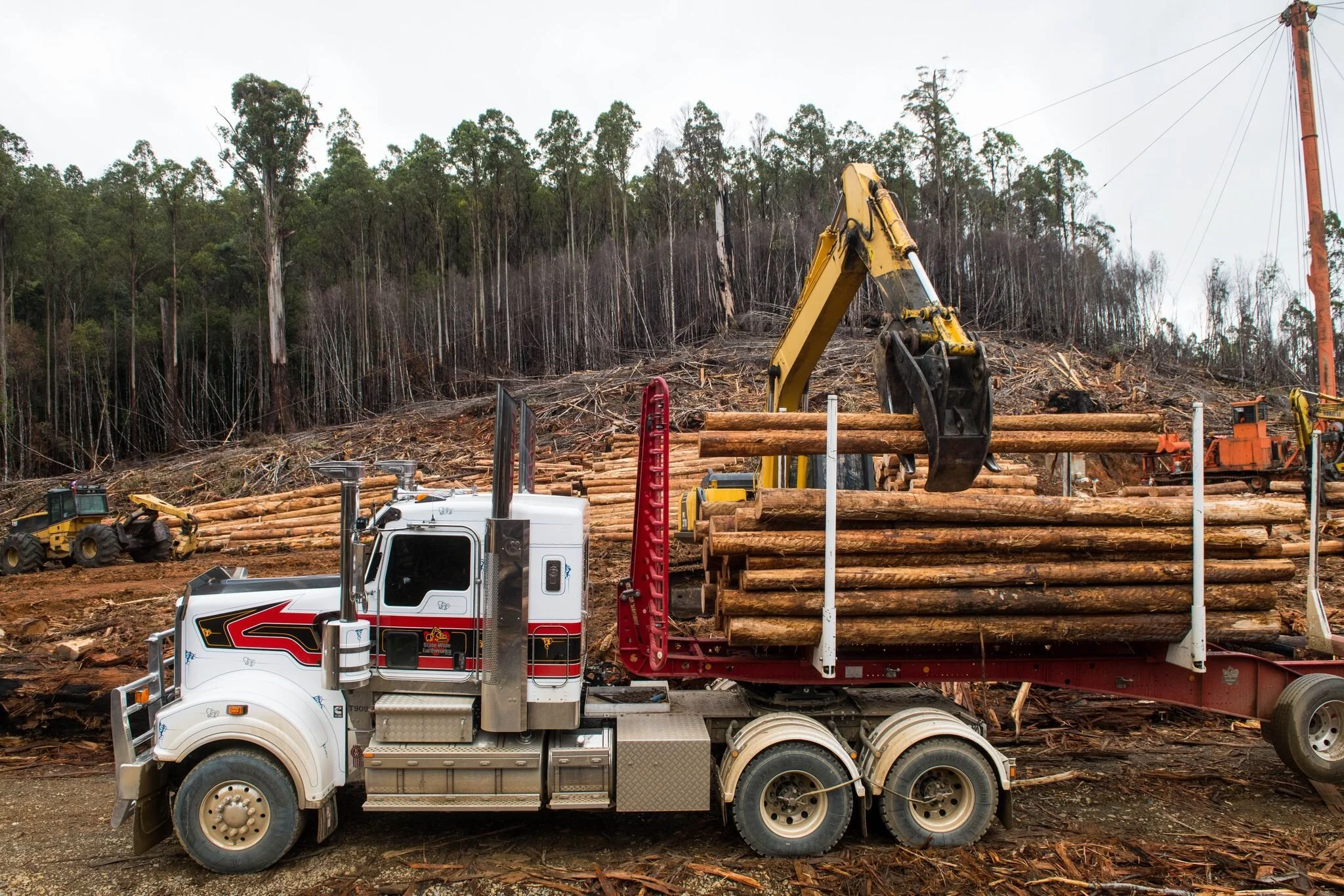 Forestry Support and Training Programs — Arbre Forest Industries ...