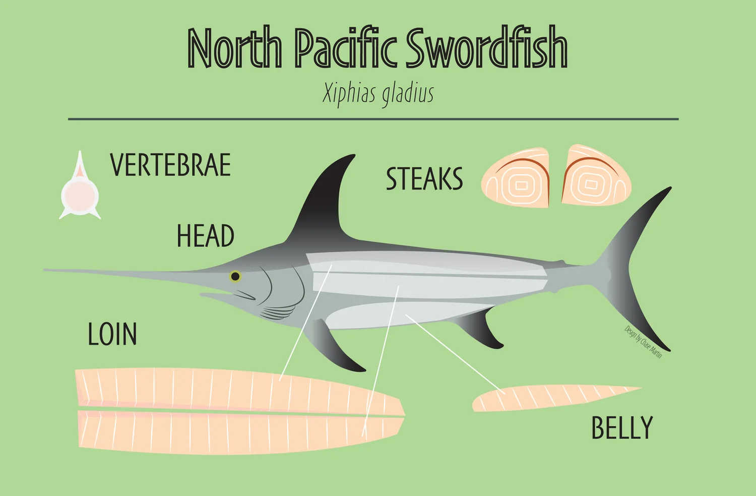 Species Guides for San Diego caught seafood — Fishful Future