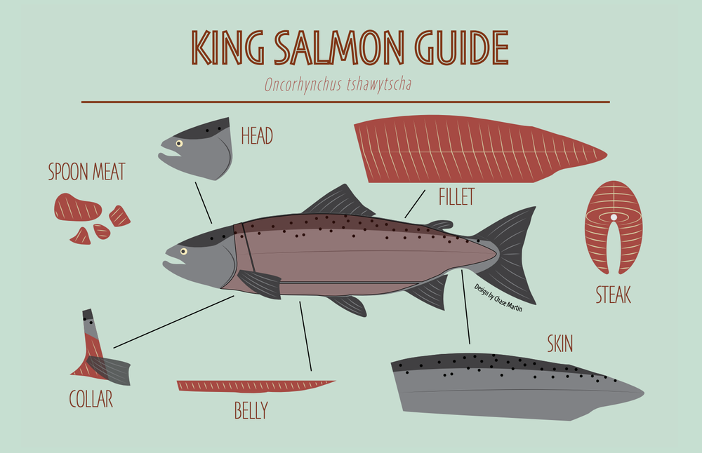 Species Guides for San Diego caught seafood — Fishful Future