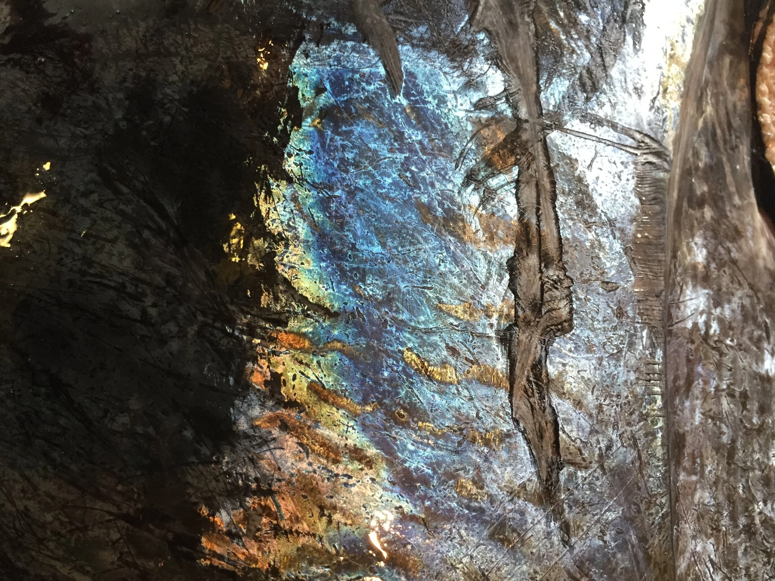 Western Atlantic Bluefin Tuna: From Tags up to Tail Cuts — Fishful Future