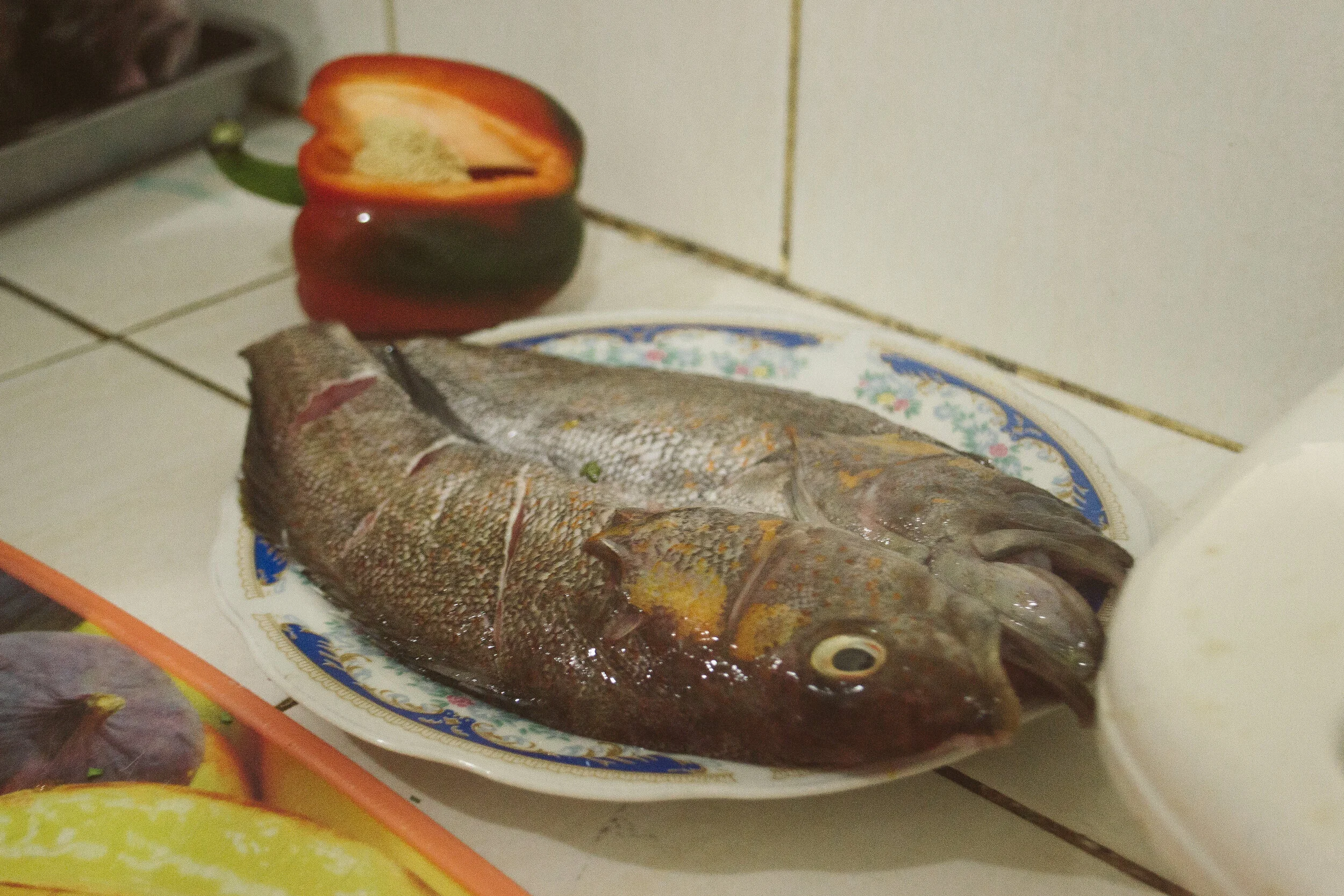 Leyla’s Sudado — Fishful Future