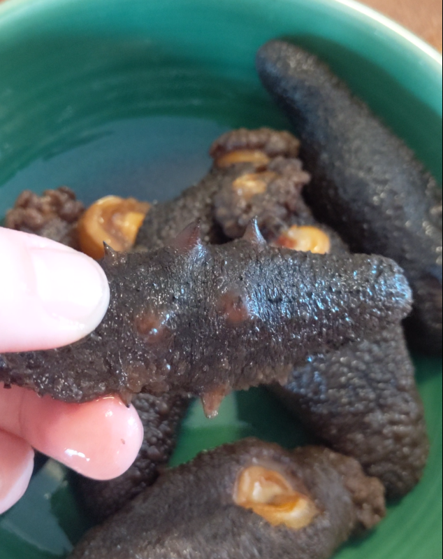 Preparing Fresh Sea Cucumber - Step 1 — Fishful Future