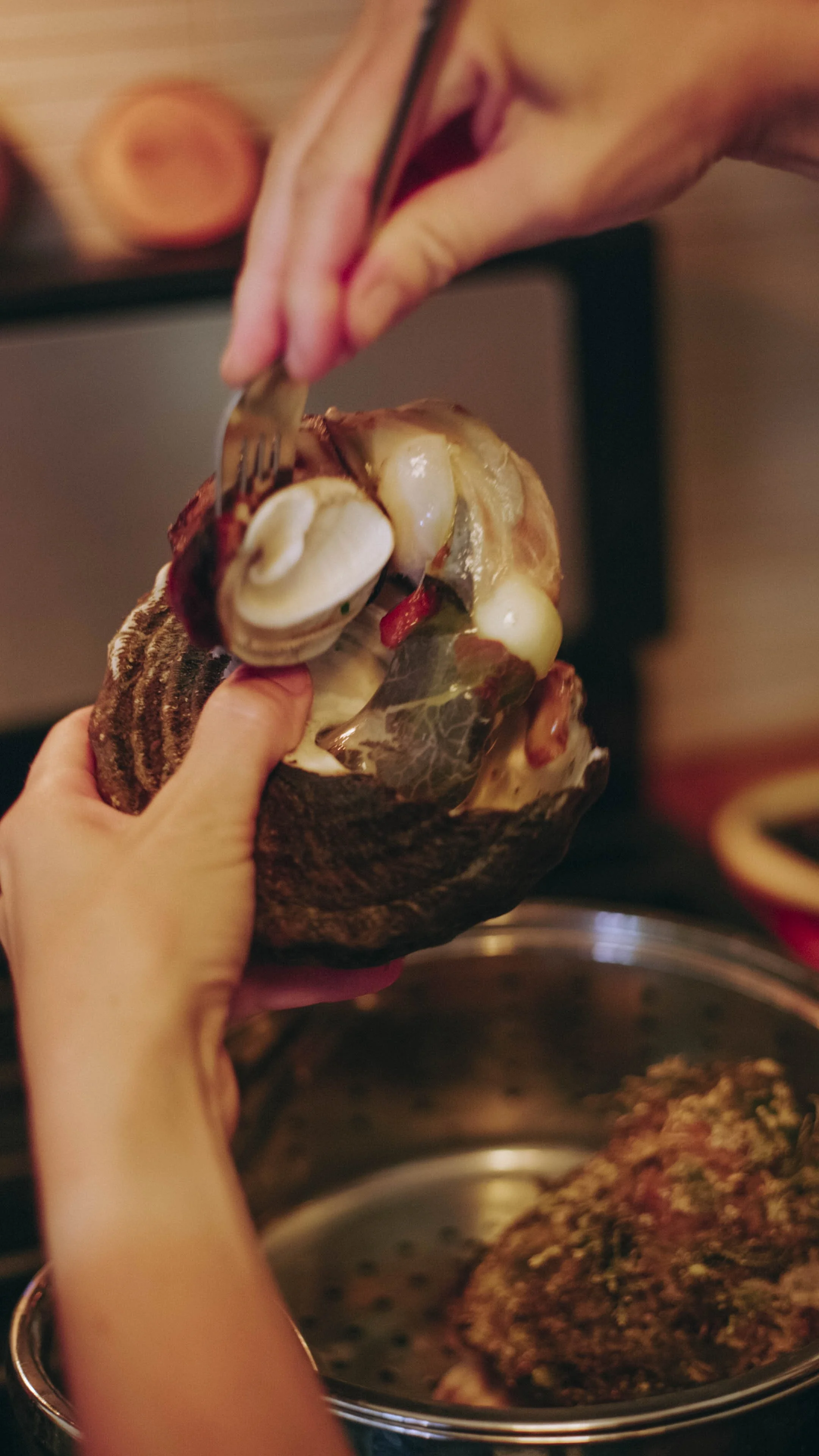 Wavy Turban Snail Coctel de Caracol — Fishful Future