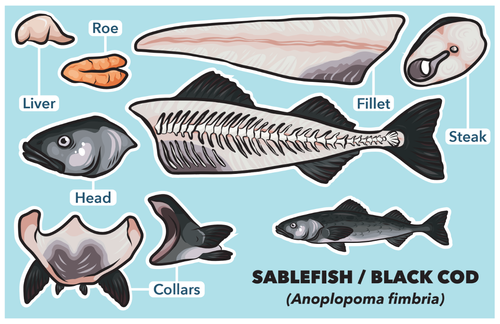 Species Guides for San Diego caught seafood — Fishful Future