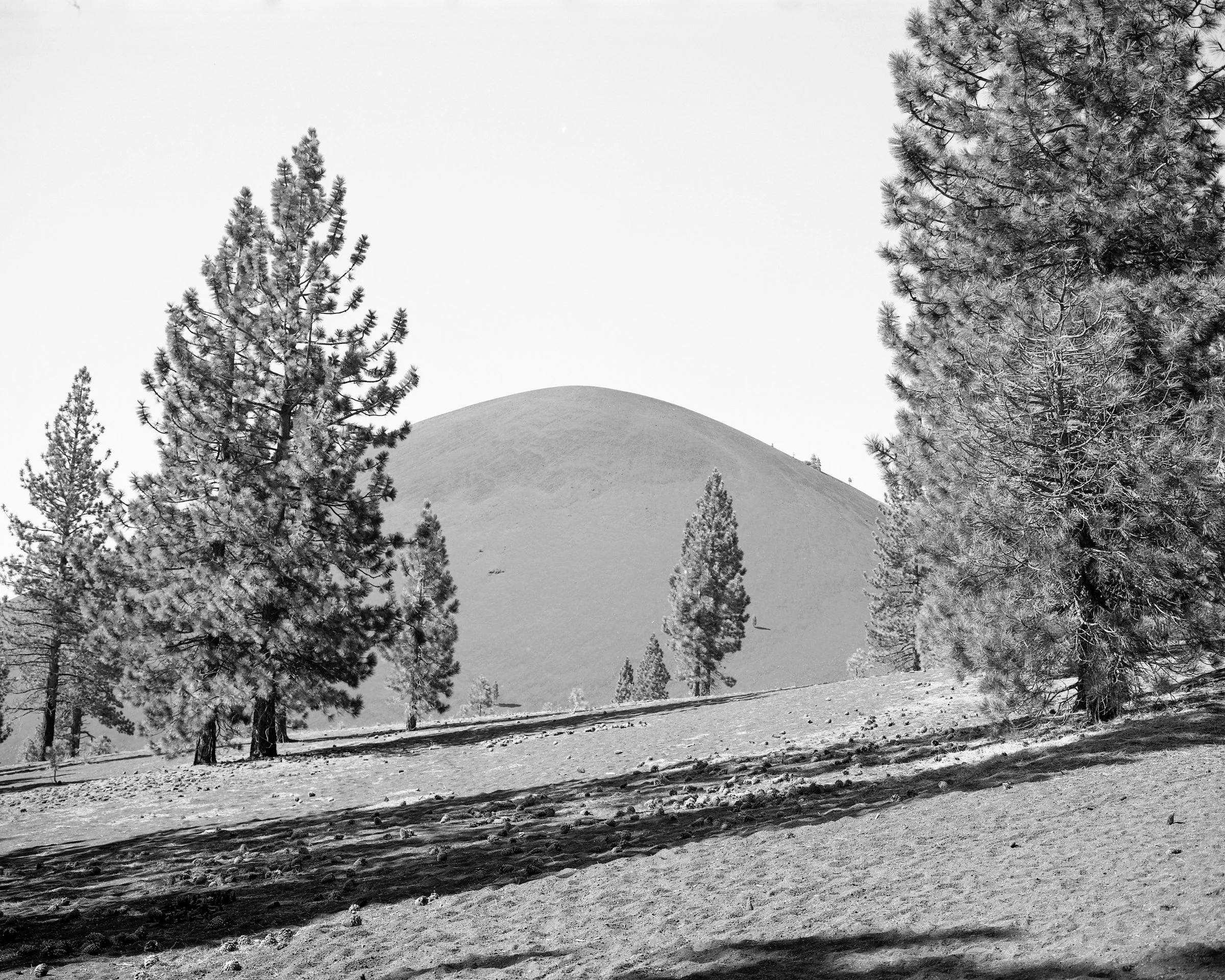 Daniel Ballesteros Photography