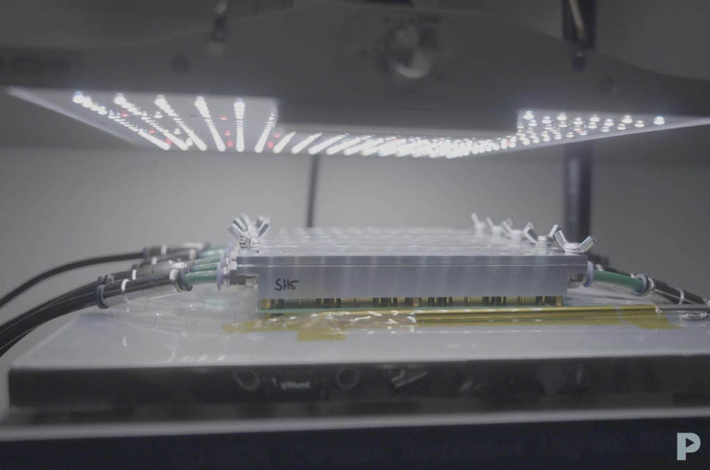 Swift Solar: Startup Harnesses the Power of the Sun — Pique Action