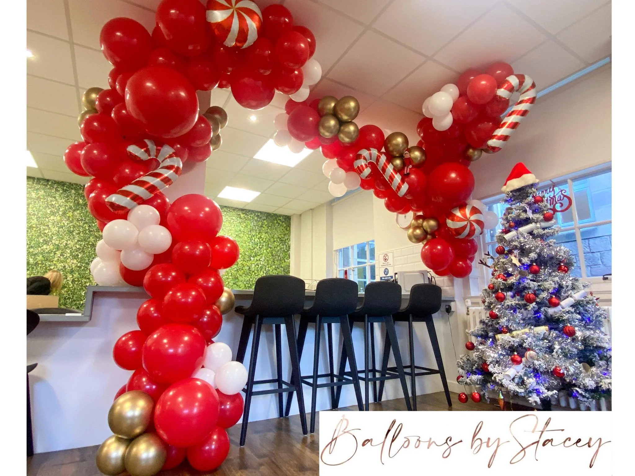 BAPIA Latest — BAPIA