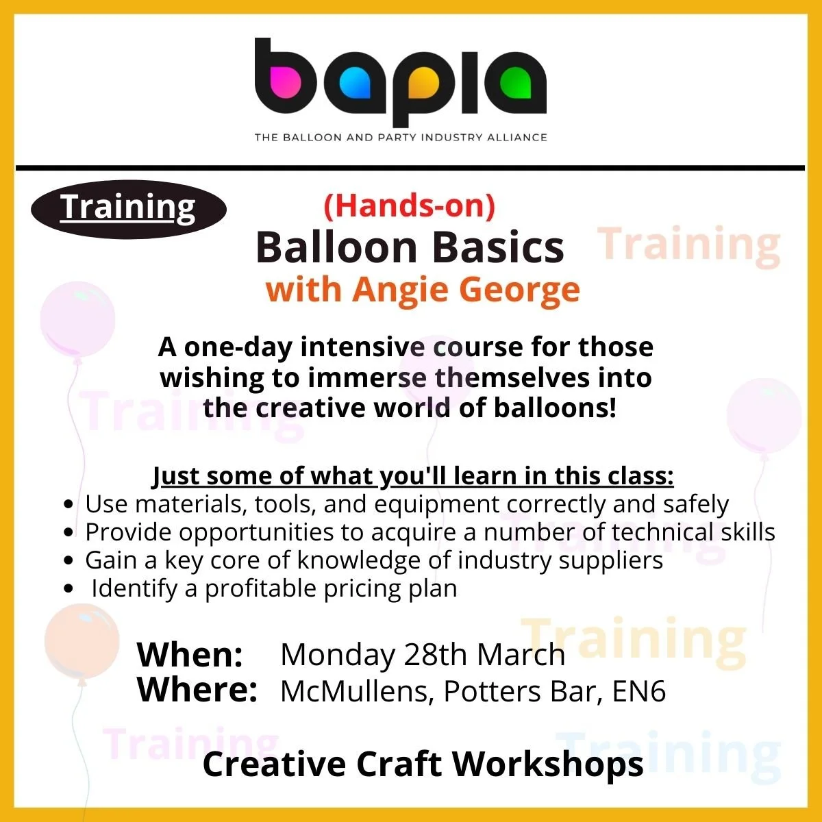 Balloon Basics — BAPIA