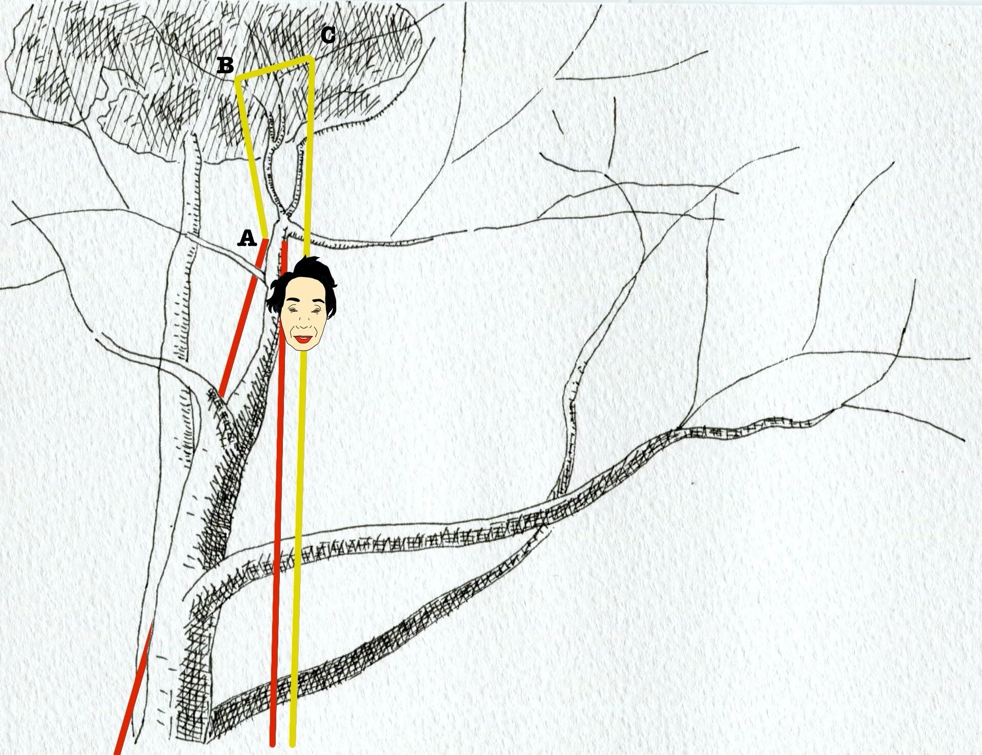 3 Rope System — Wooden Hand