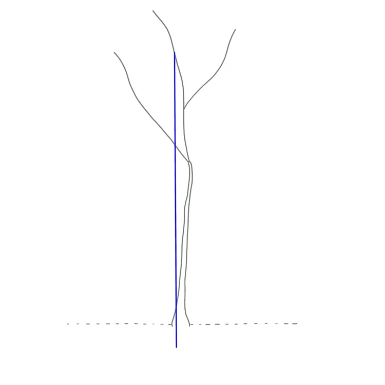 3 Rope System — Wooden Hand