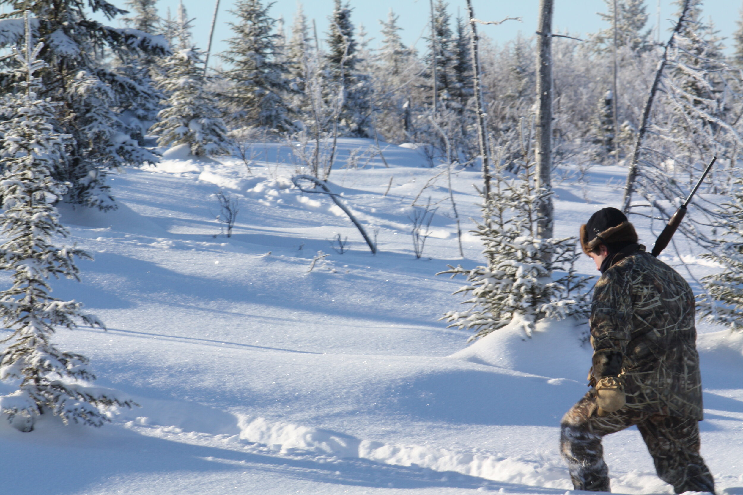 Videos of The Cree Hunters Economic Security Board — Chasseur cri